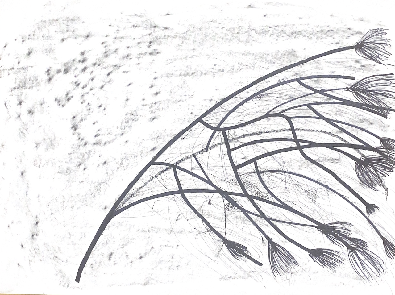 About – Shirley Toribio